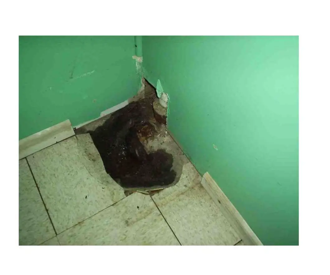 Basement Renovation on a Budget: How to for Under $600